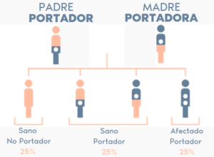 Test genético de portadores | CGT